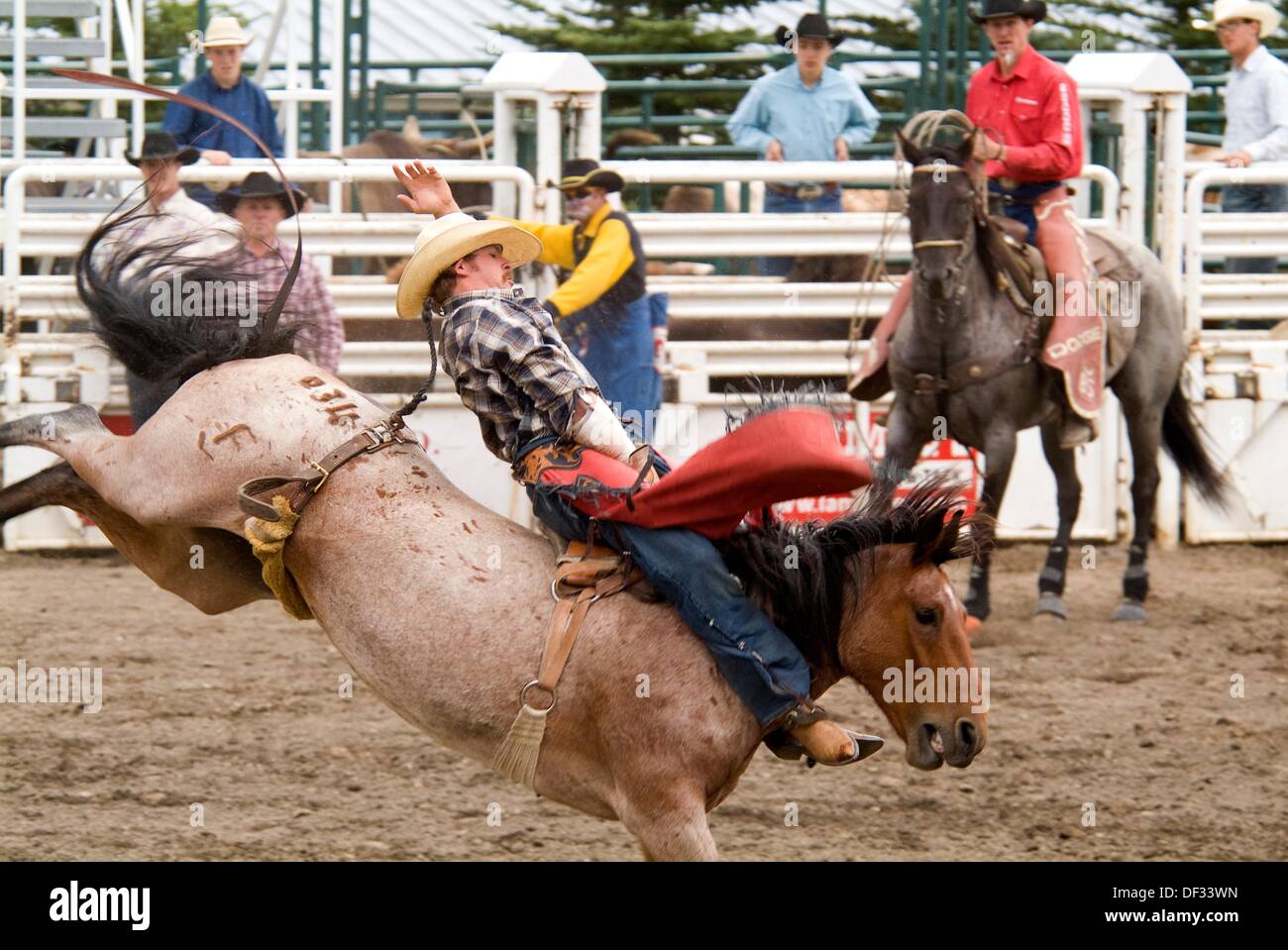 Bronco riding hi-res stock photography and images - Alamy