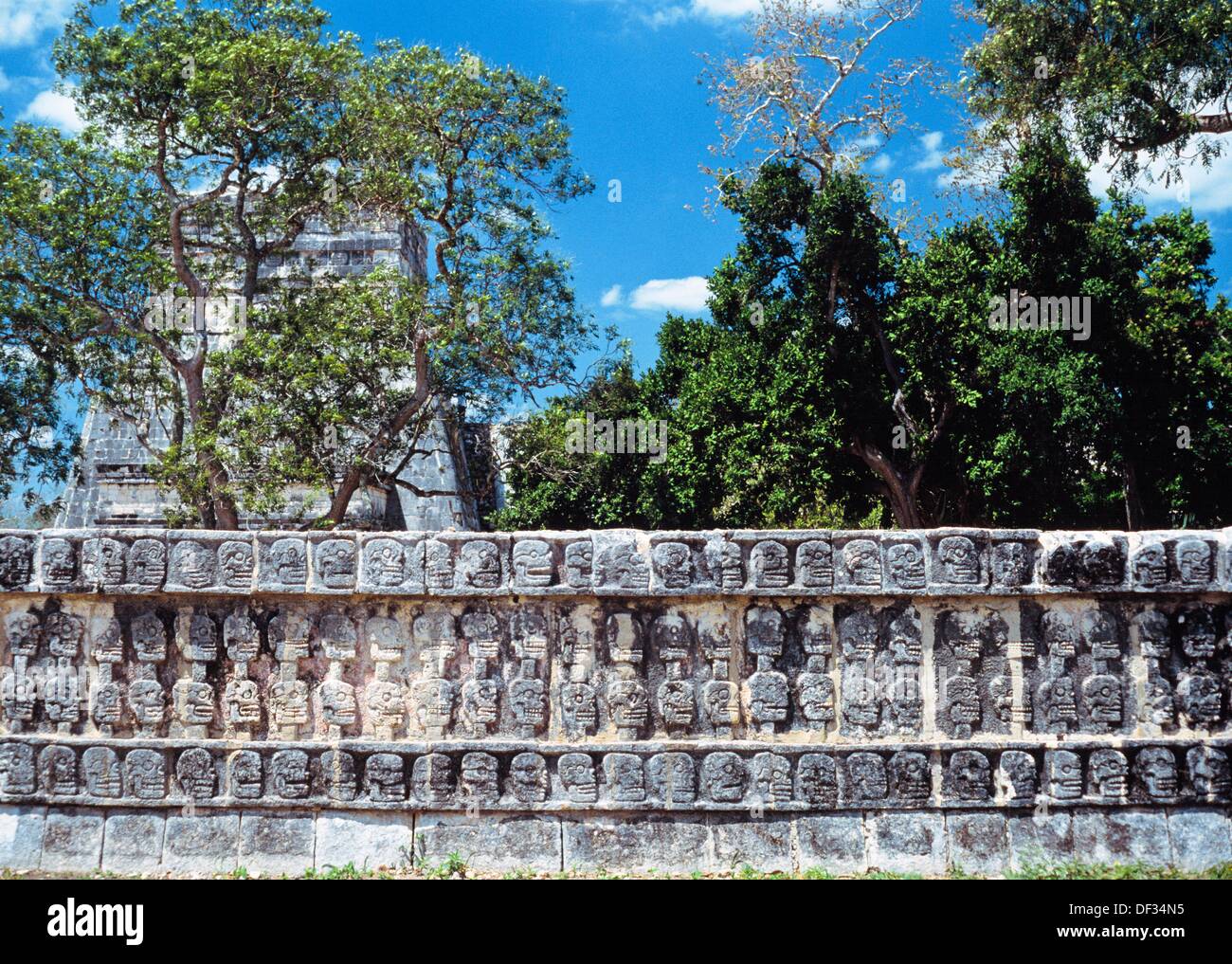 Skull rack hi-res stock photography and images - Alamy