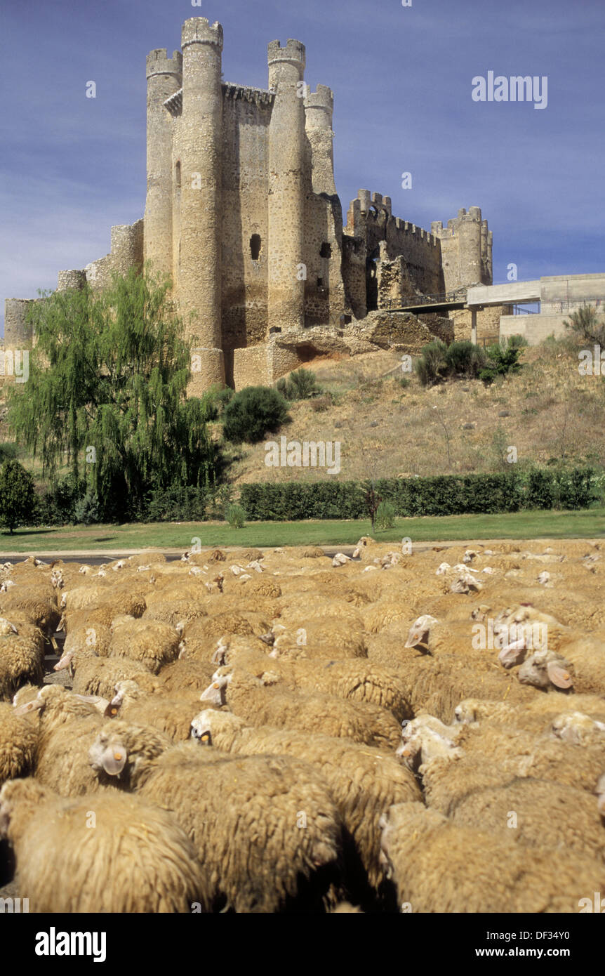 Valencia de don juan castle hi-res stock photography and images - Alamy