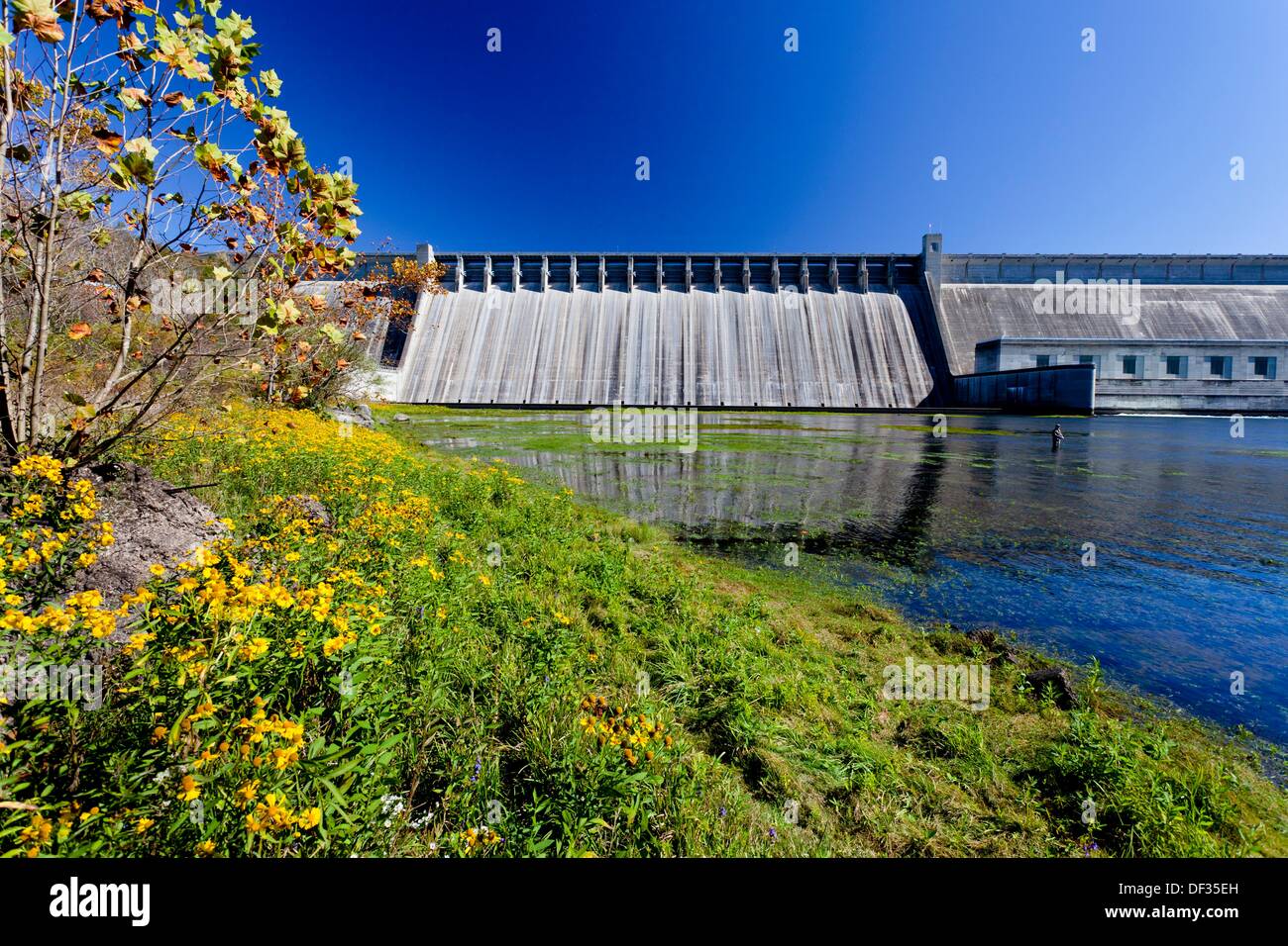 Bull shoals hi-res stock photography and images - Alamy