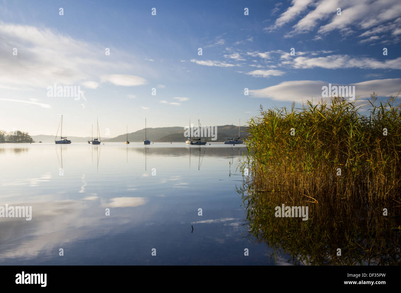A beautiful scene on a lake with calm water, reeds and yachts boats in ...