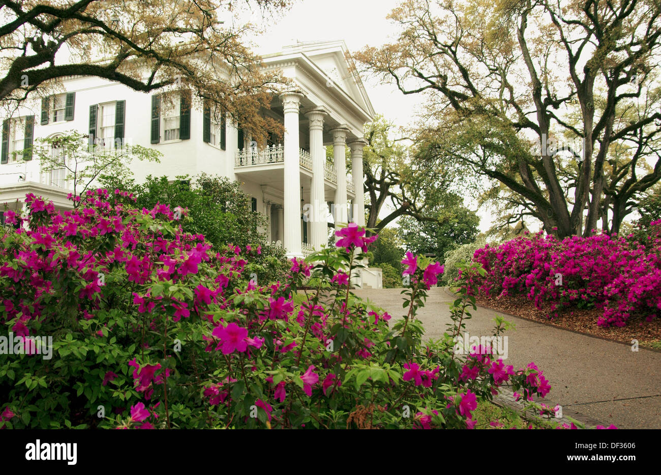 Stanton Hall High Resolution Stock Photography and Images - Alamy