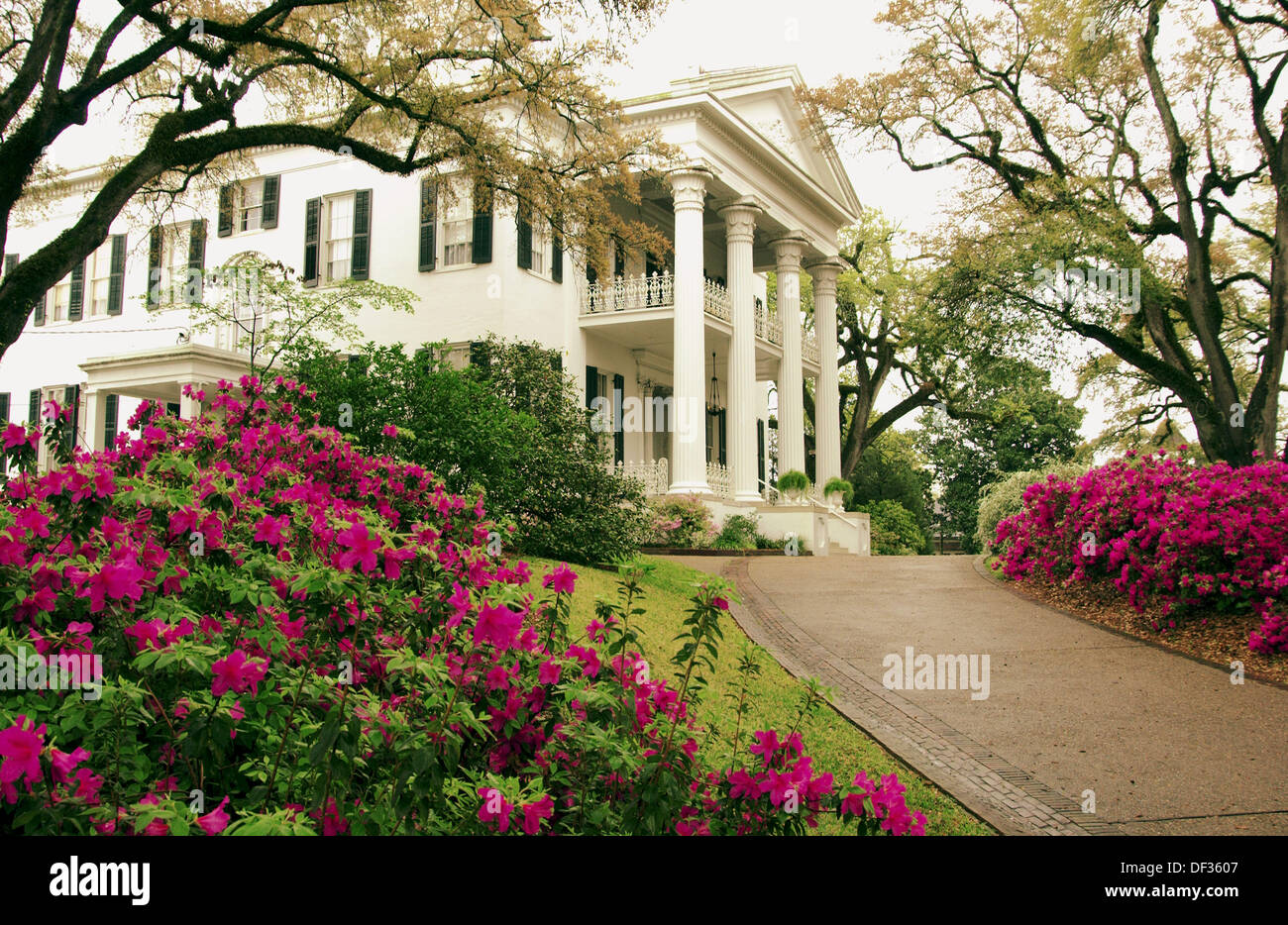 Stanton Hall Natchez High Resolution Stock Photography and Images - Alamy