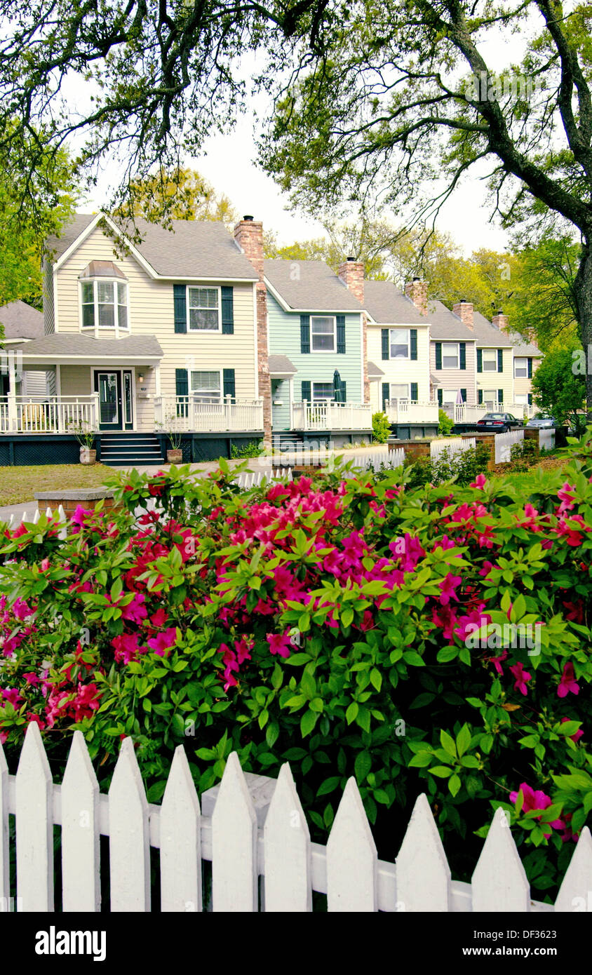 Row of azalea hi-res stock photography and images - Alamy