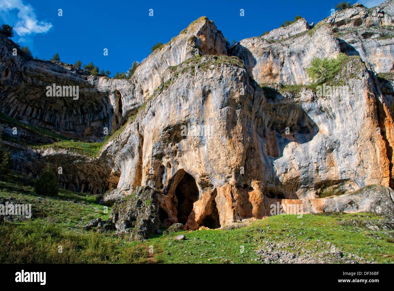Lobo del rio hi-res stock photography and images - Alamy
