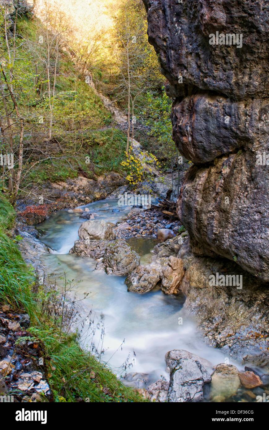 Ague tree hi-res stock photography and images - Alamy