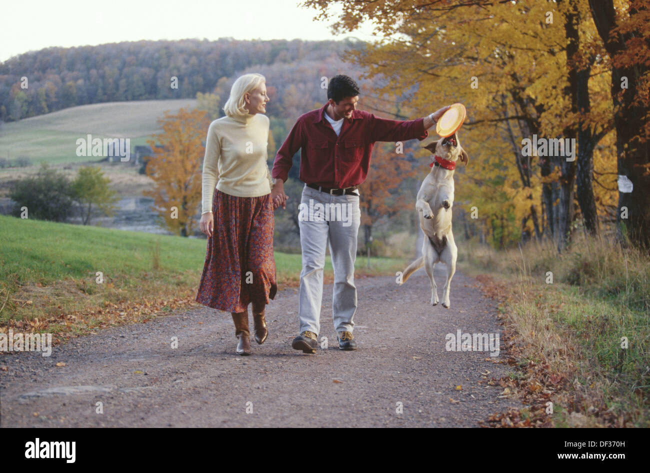 Walking dog country road hi-res stock photography and images - Alamy