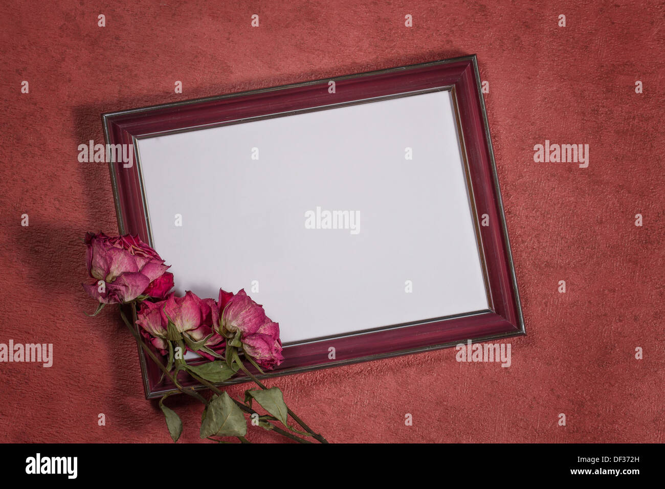 Vintage background with frame for photo and dry roses Stock Photo - Alamy