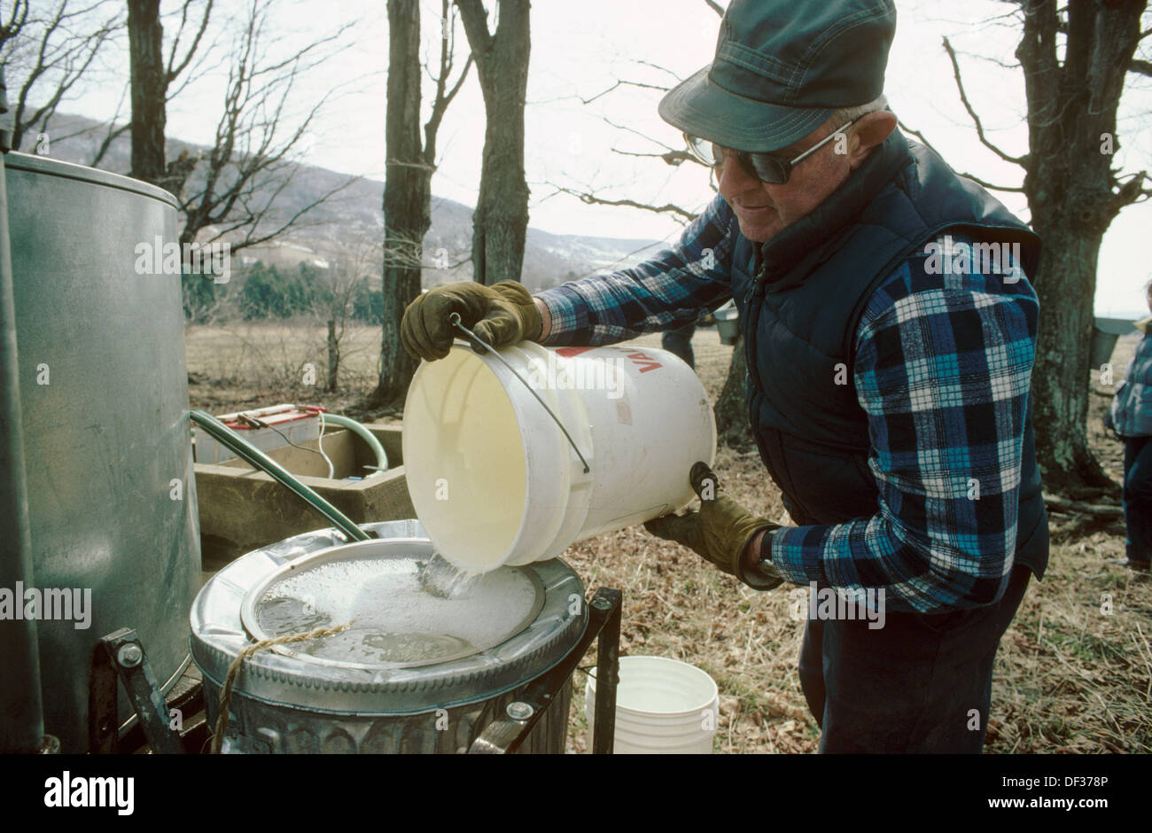 Maple product farm hi-res stock photography and images - Alamy