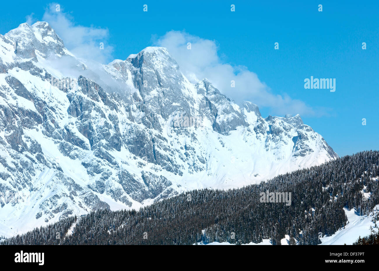 Winter mountain landscape with snowy spruce trees on slope (Hochkoenig ...
