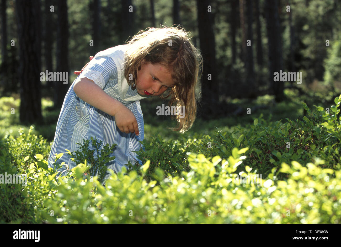 Swedish girl hi-res stock photography and images - Alamy