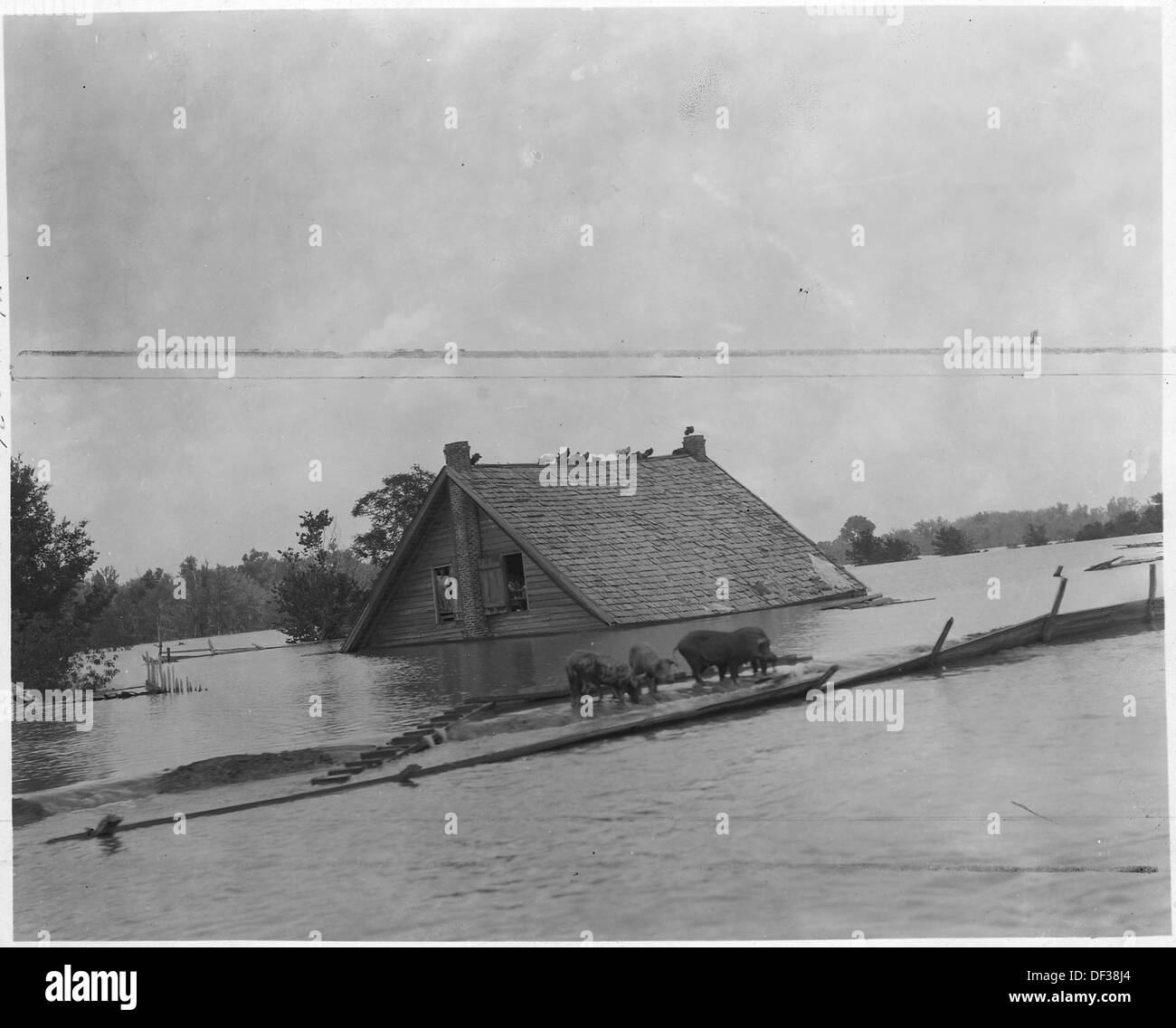 Devastating flood natural disaster Black and White Stock Photos ...