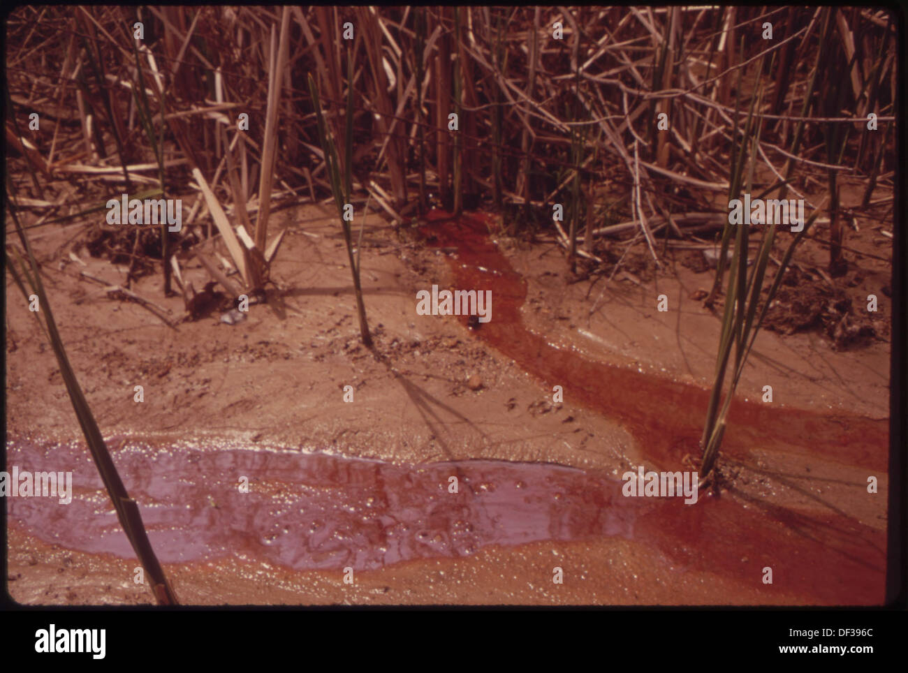 This photograph shows the aftermath of strip mining, where finely ...