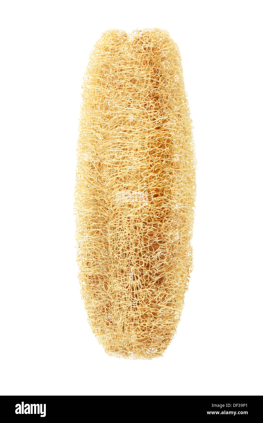 Natural Luffa Sponge On White Background Stock Photo - Alamy
