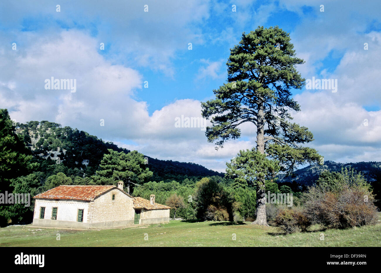 Cortijo typical farm andalucia hi-res stock photography and images - Alamy
