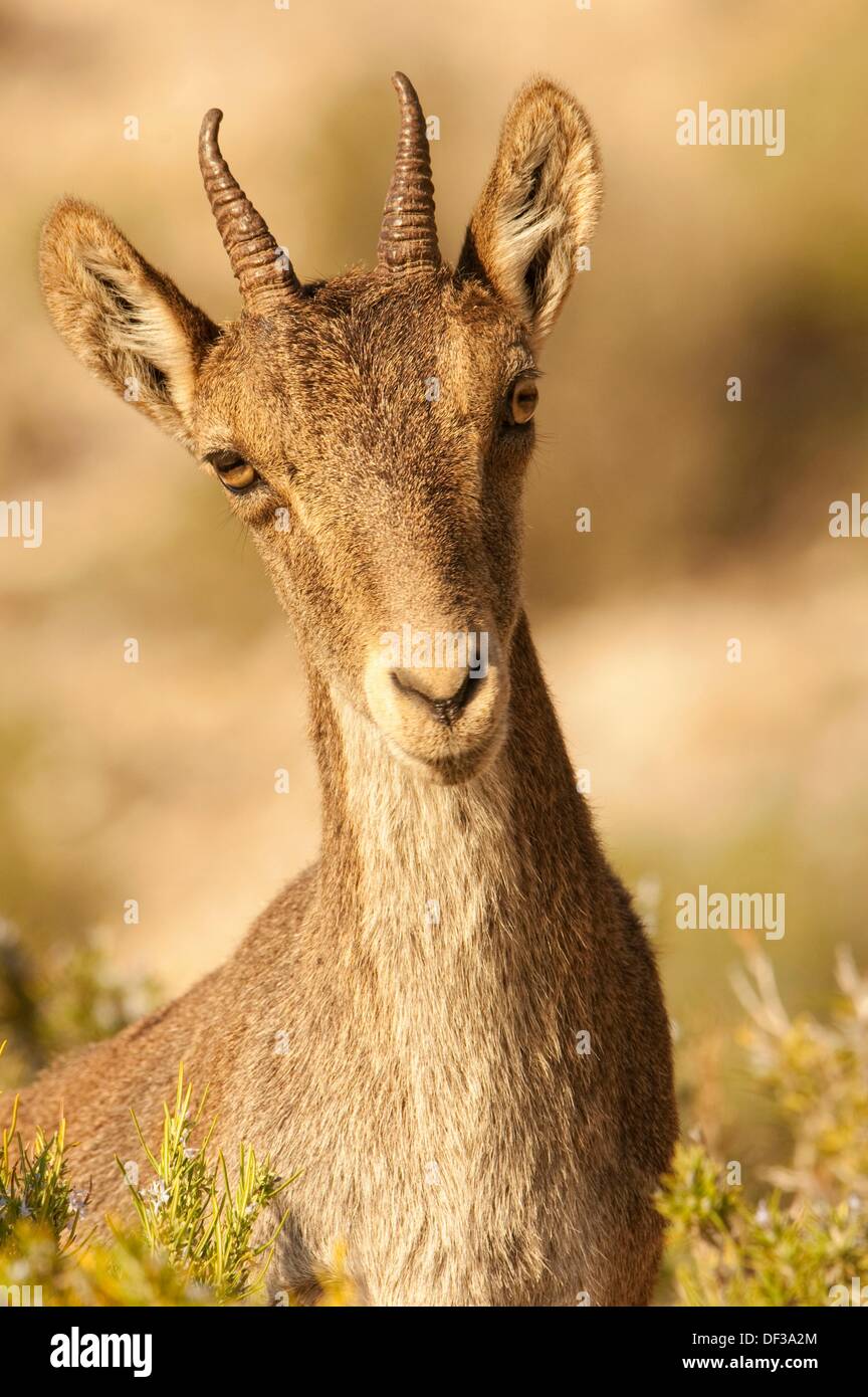Orientacion vertical hi-res stock photography and images - Alamy