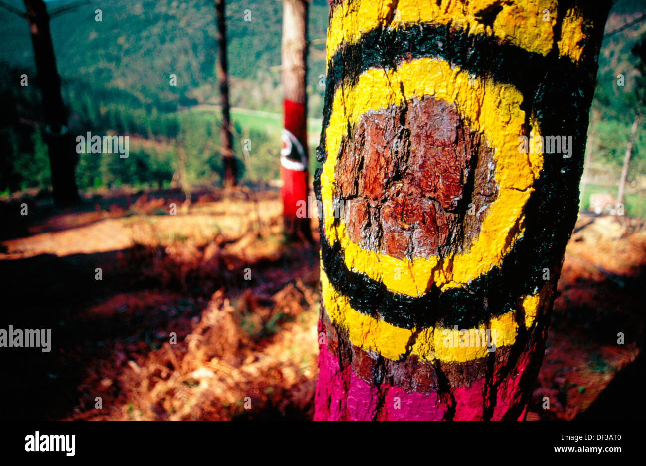 Oma circle hi-res stock photography and images - Alamy