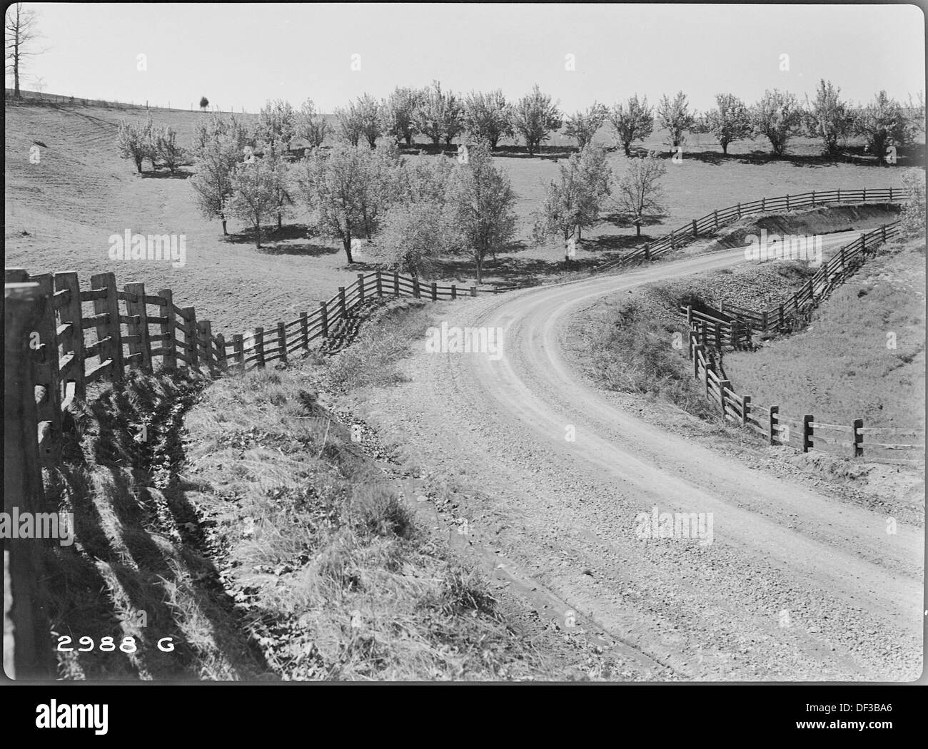 This photograph shows the approach road to Fort Loudon, with a rail ...