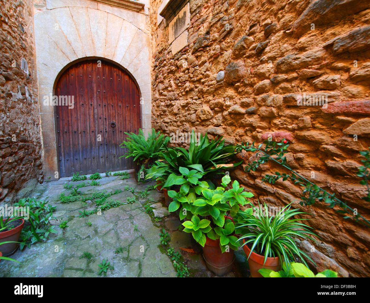 Pera la hi-res stock photography and images - Alamy