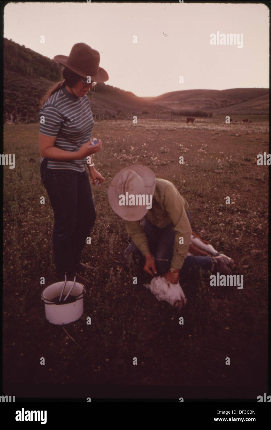 The Oldlands' Summer Cow Camp, located 15 miles south of Piceance Creek ...