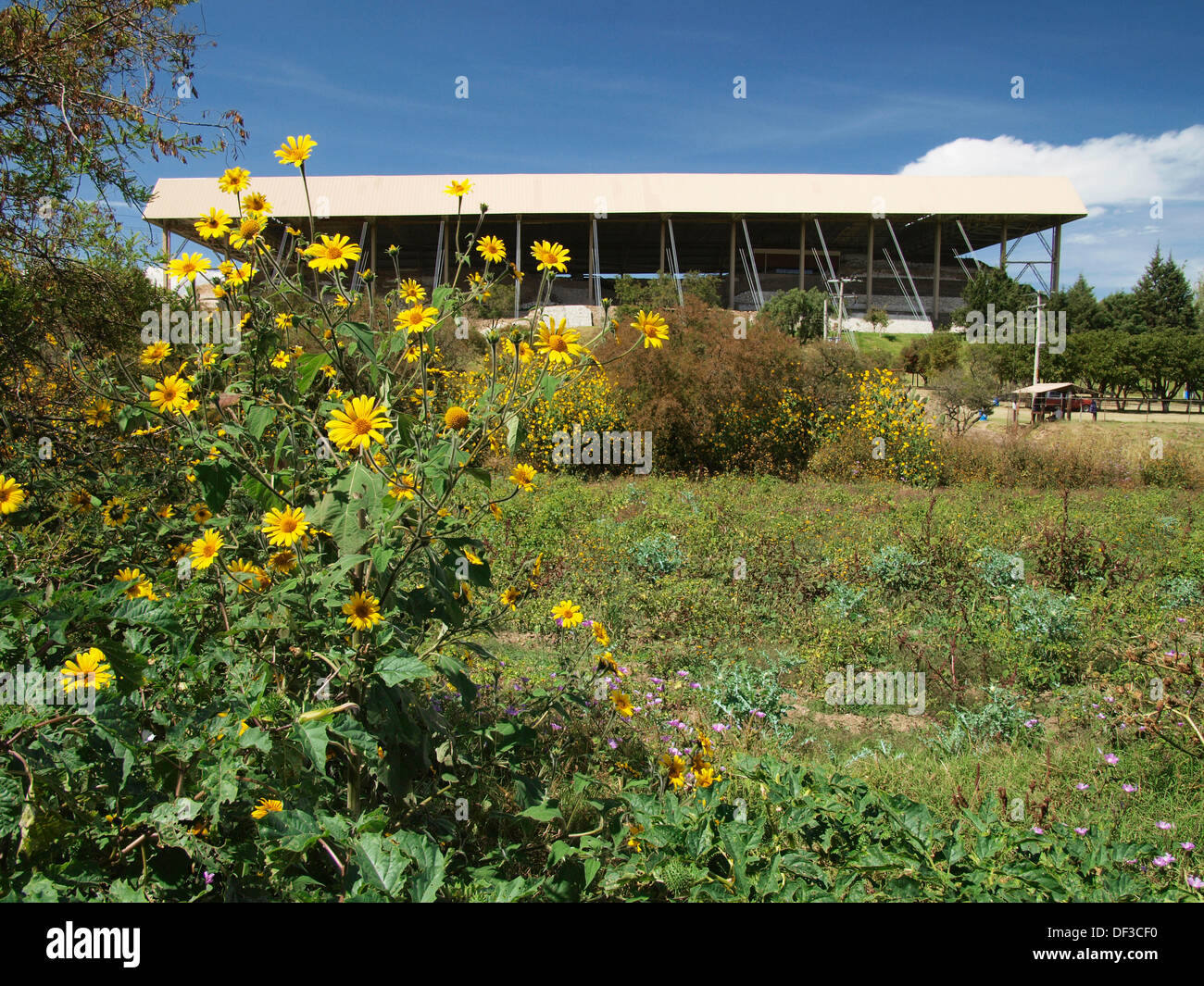 Cacaxtla archaeological site hi-res stock photography and images - Alamy