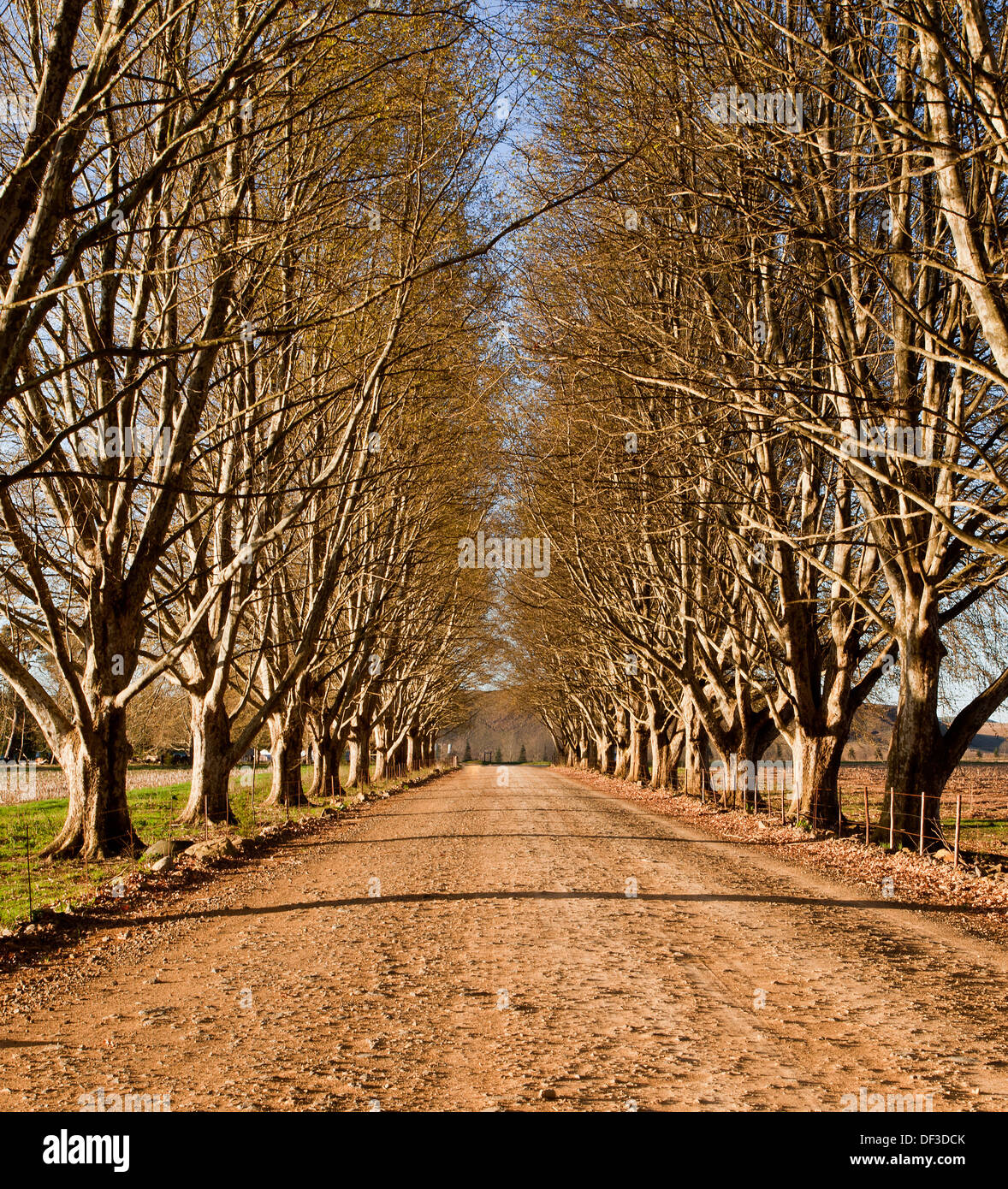 Single lane road tunnel hi-res stock photography and images - Alamy