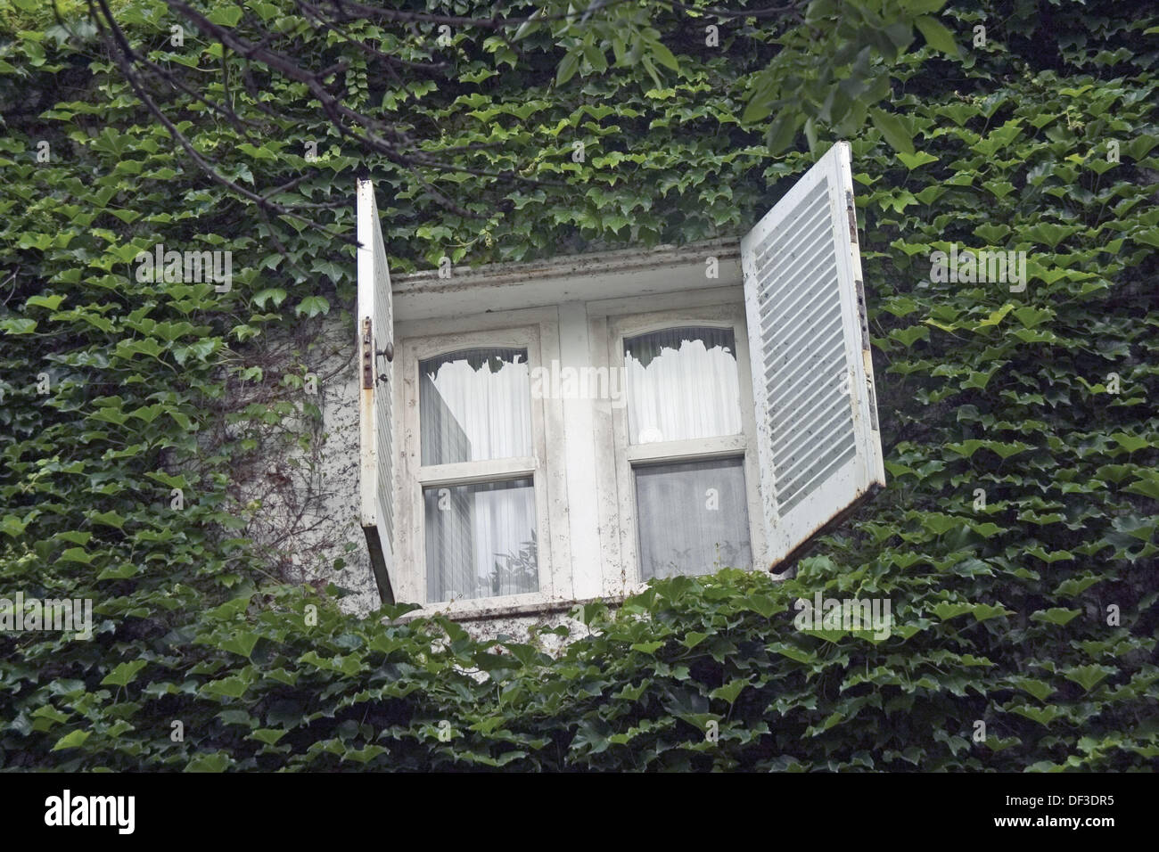 A shuttered window to a home in Notting Hill in London, UK Stock Photo ...