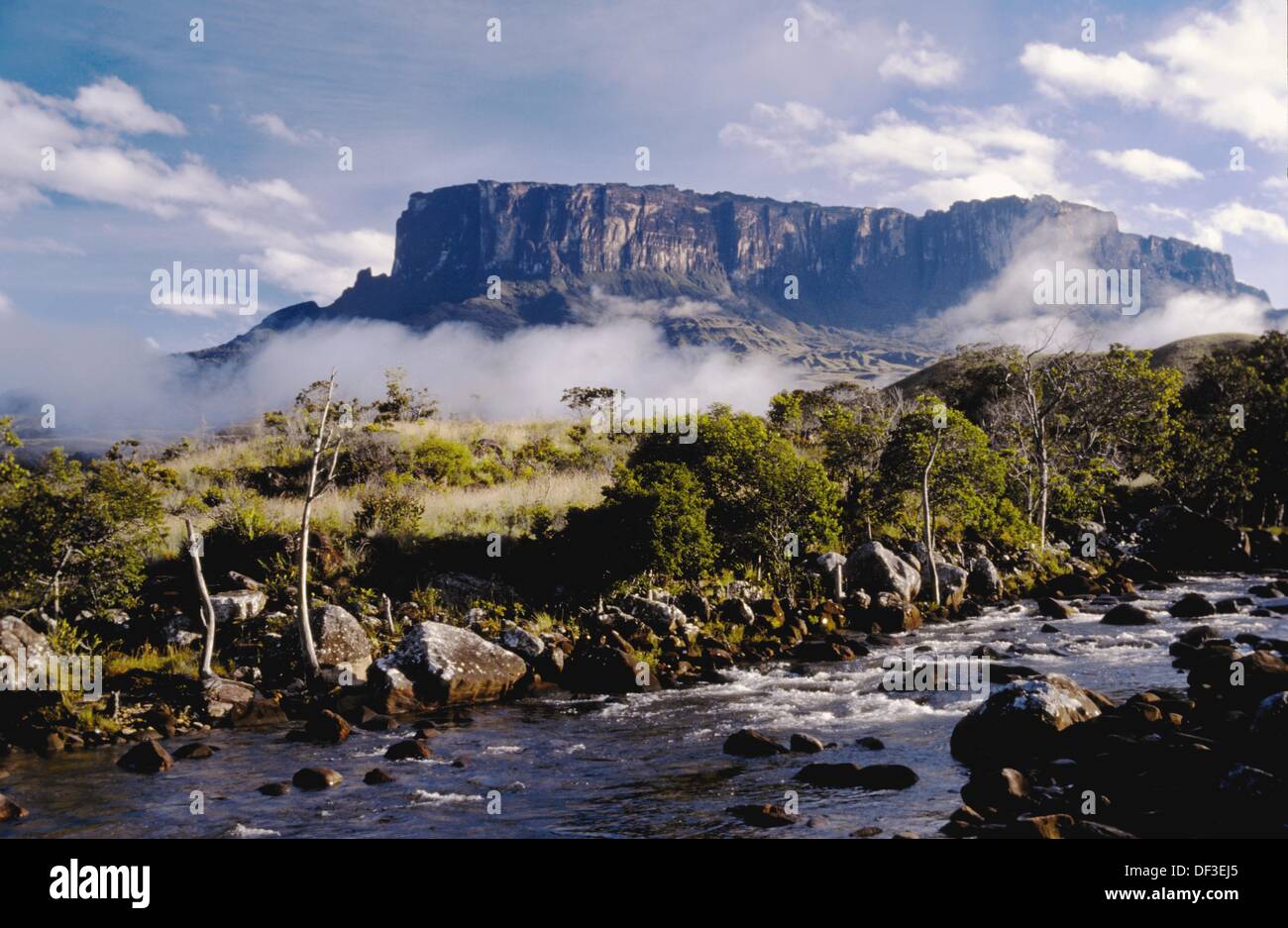 Kukenan Tepui High Resolution Stock Photography and Images - Alamy