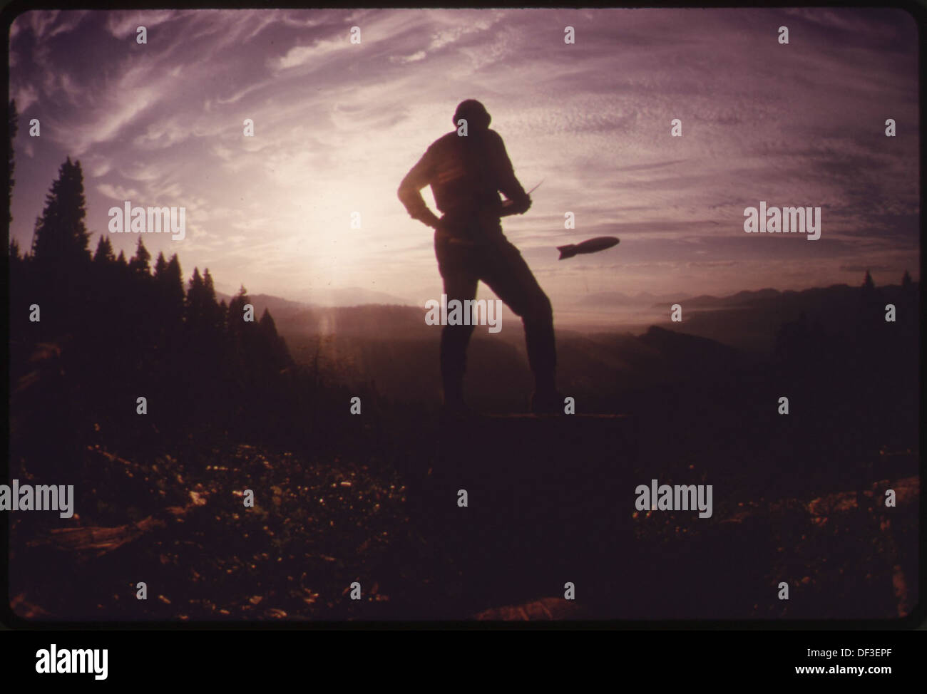 Balloon logging was used in the Culp Creek drainage area near Eugene ...