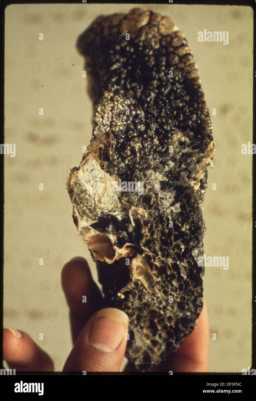 Black lung miner hi-res stock photography and images - Alamy