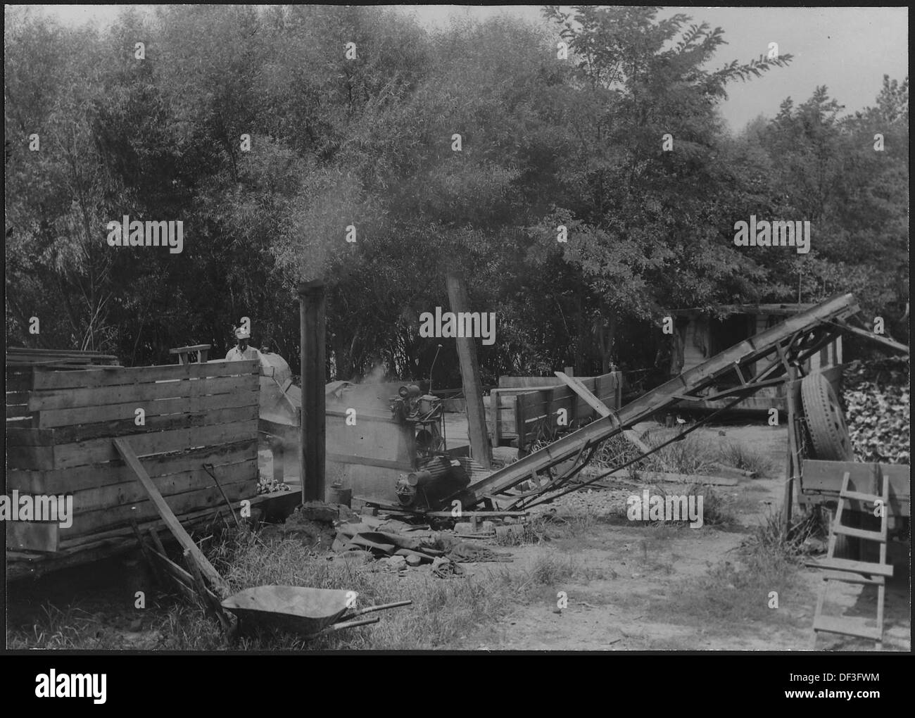 A scene from Blankenship’s mussel camp near Decatur, Alabama, where ...