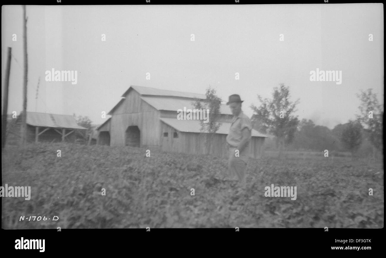 Breeden hi-res stock photography and images - Alamy