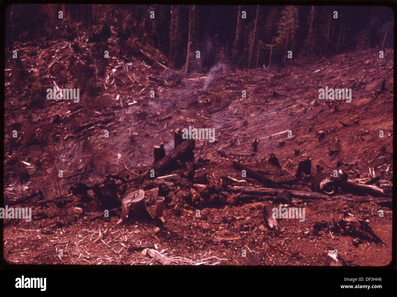 Buffer strip burning is a controlled method of land management used in ...