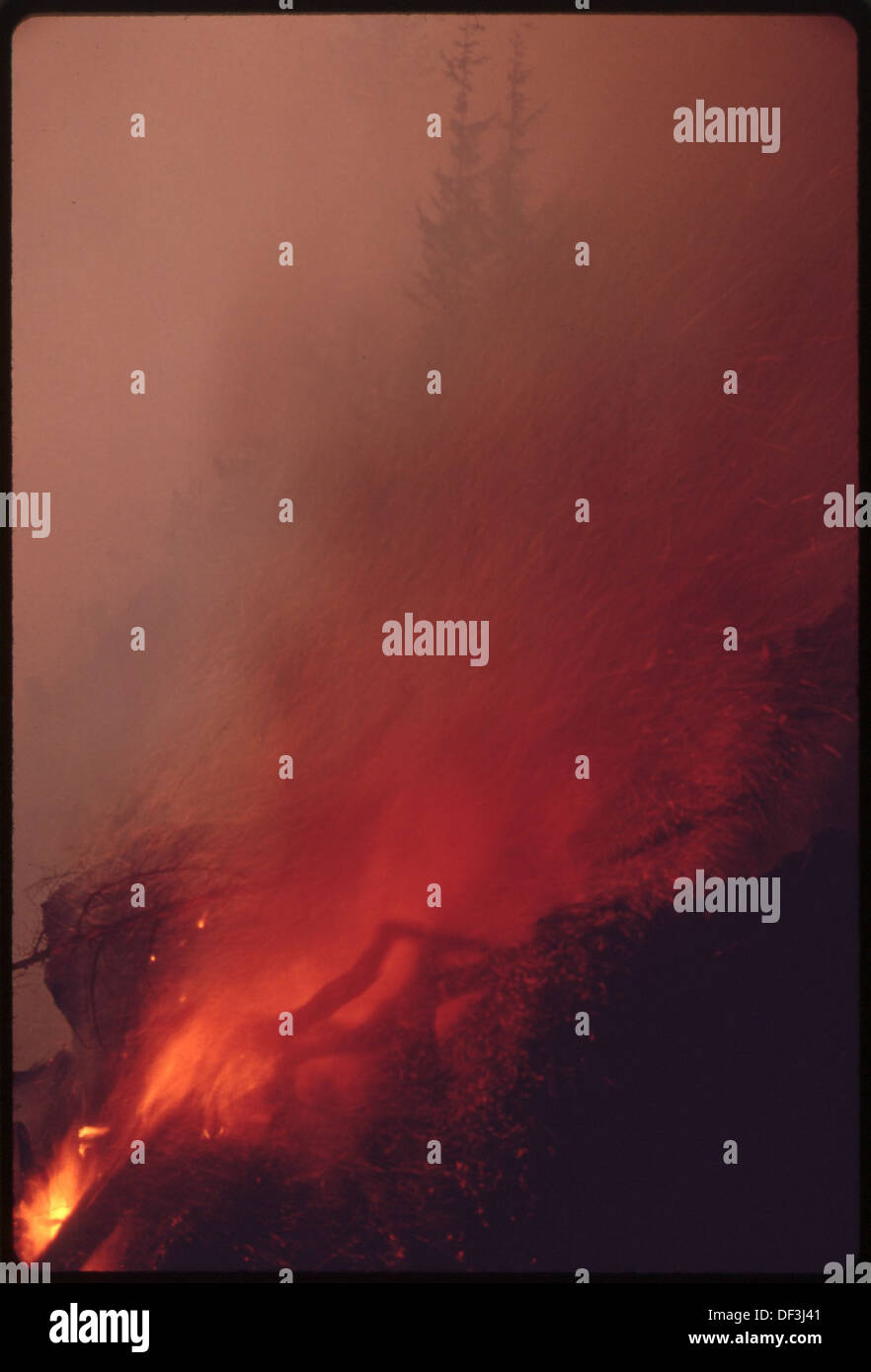 A photograph depicting burning slash on a steep 75-degree slope in ...