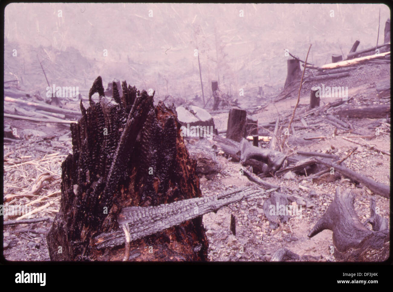 A photograph of slash burning on a steep 75-degree slope in Olympic ...