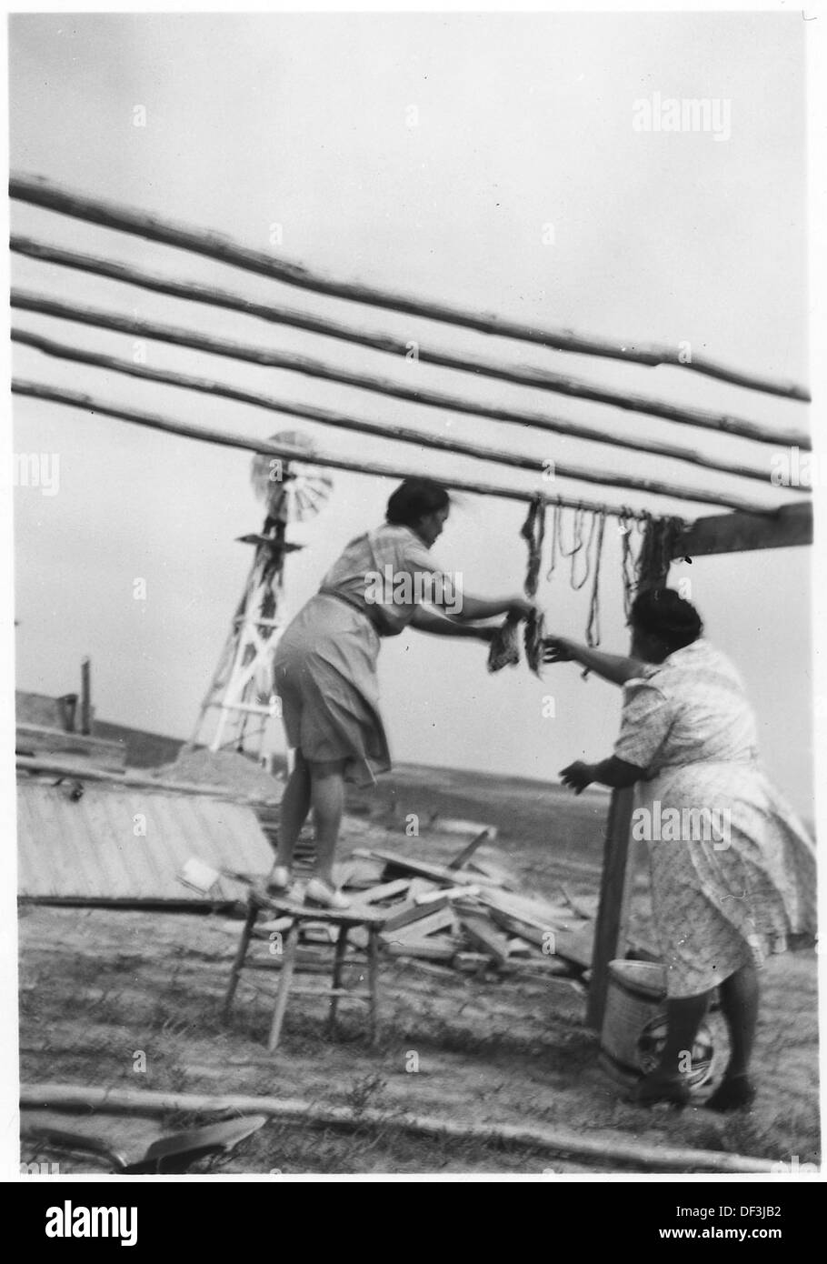 The butchering of a buffalo, an important activity for Native American ...