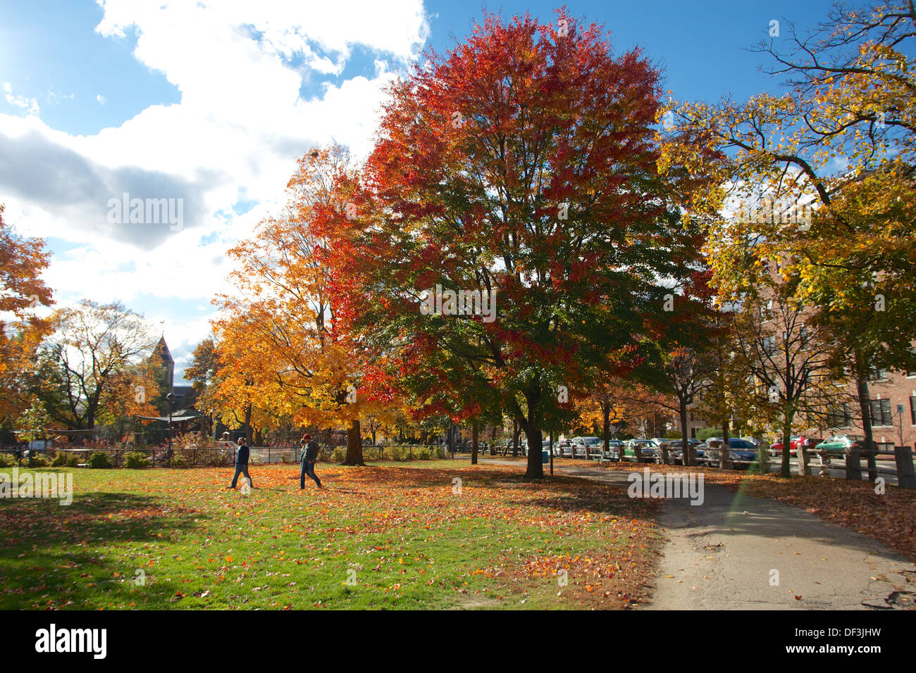 Cambridge Common, a city park near Harvard University campus in ...