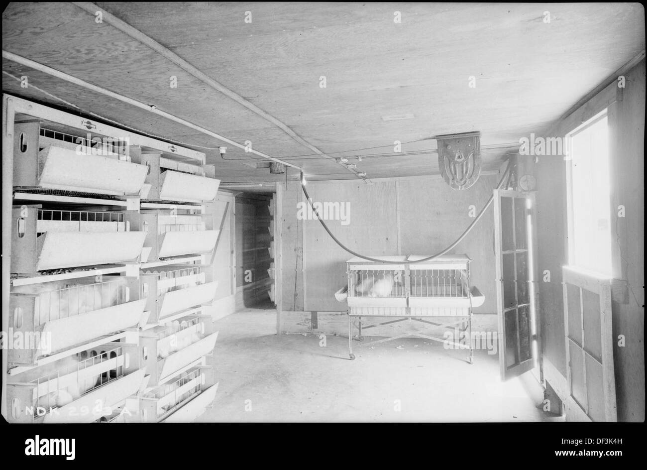 Old factory ceiling Black and White Stock Photos & Images - Alamy