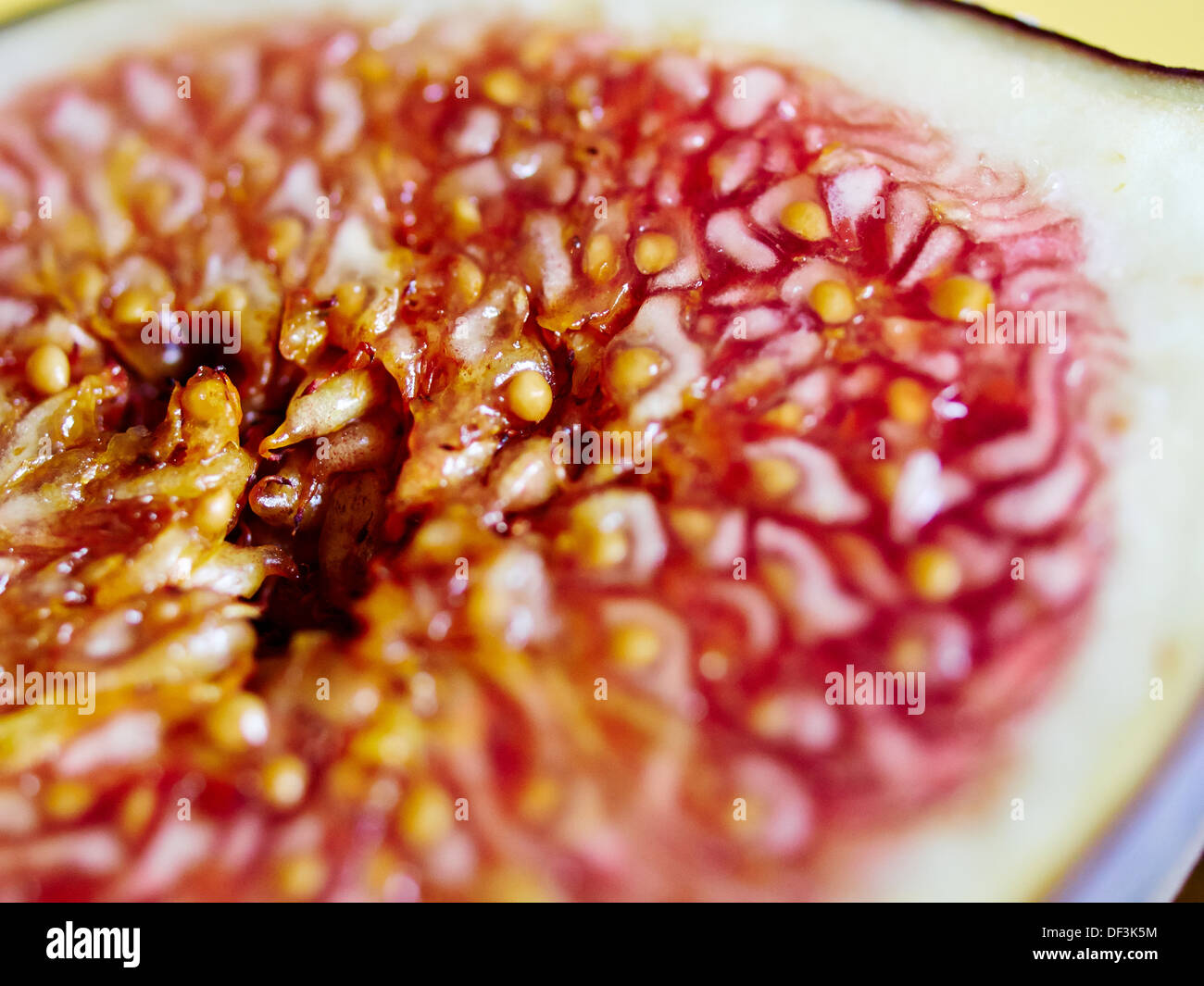 Closeup with a sliced fresh common fig Stock Photo - Alamy