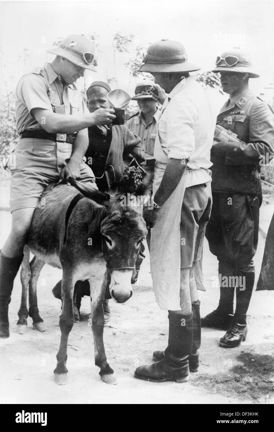 Menschen in ww2 uniform hi-res stock photography and images - Alamy