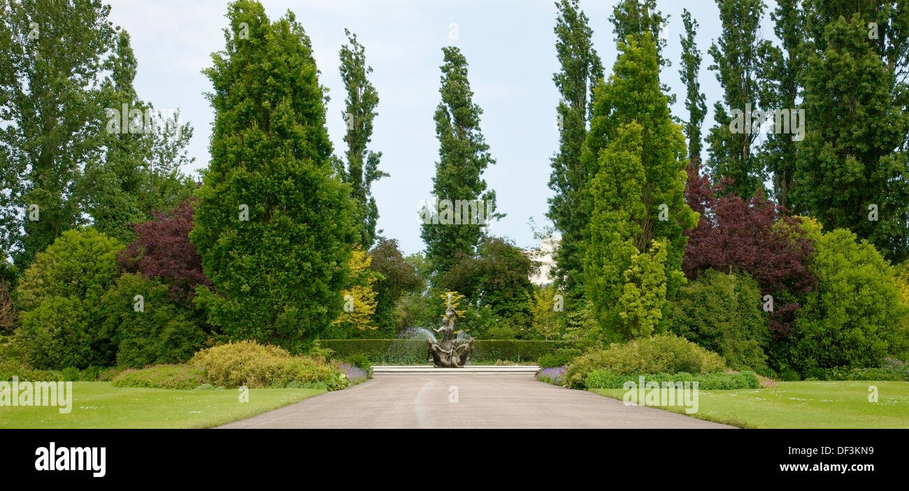 A row of poplar trees, Regent's Park, London Stock Photo - Alamy