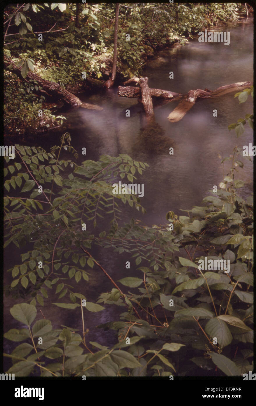 A channel between two lakes formed by Gunter's Big Spring in the Ha Ha ...