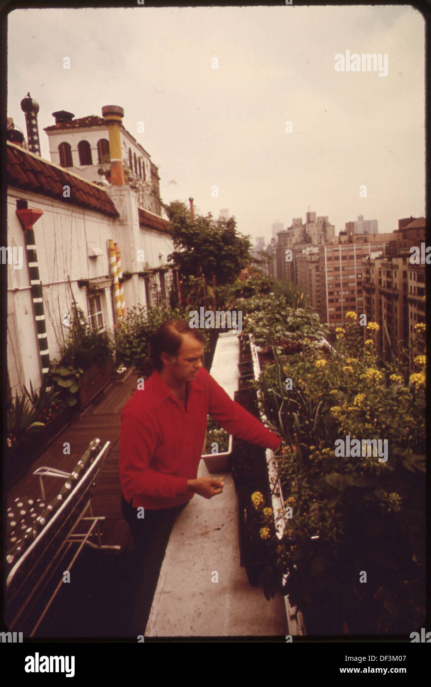 Stuart Mott’s urban garden, located twenty floors above street level ...