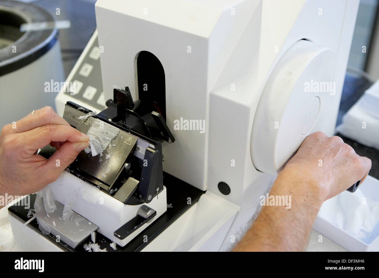 Microtome High Resolution Stock Photography and Images - Alamy