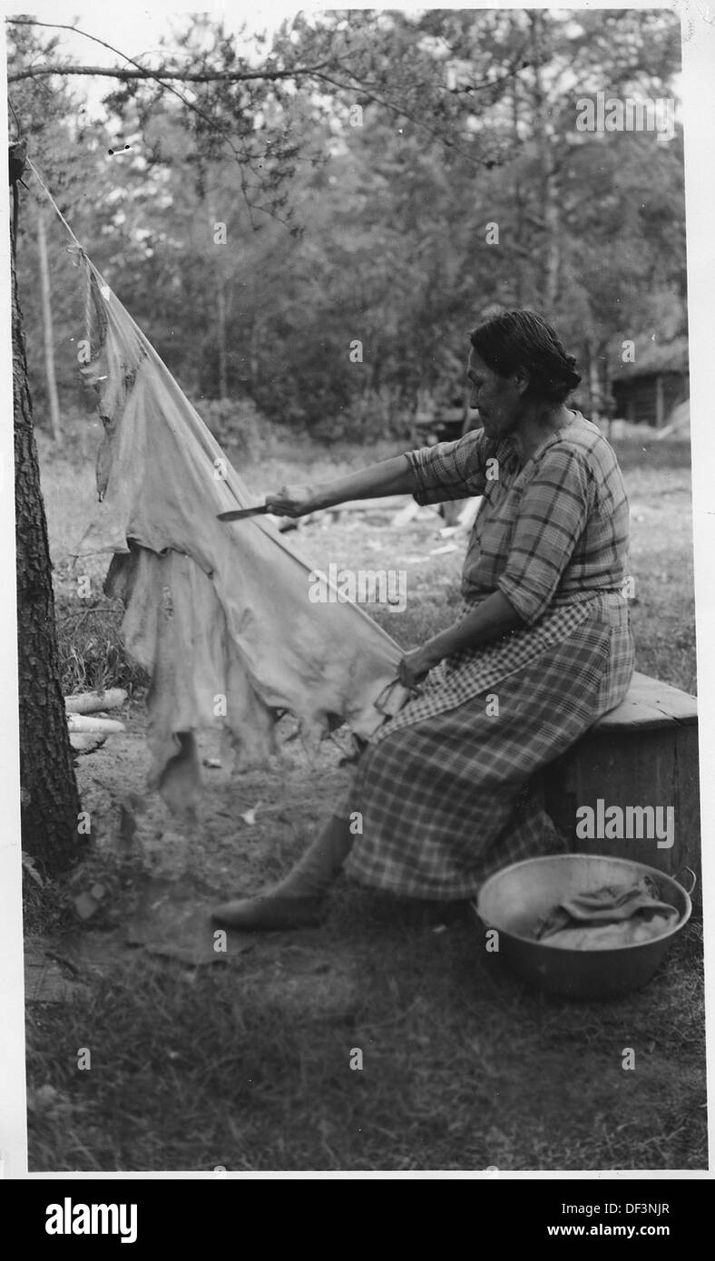 The image shows workers cleaning green deer hides before the tanning ...