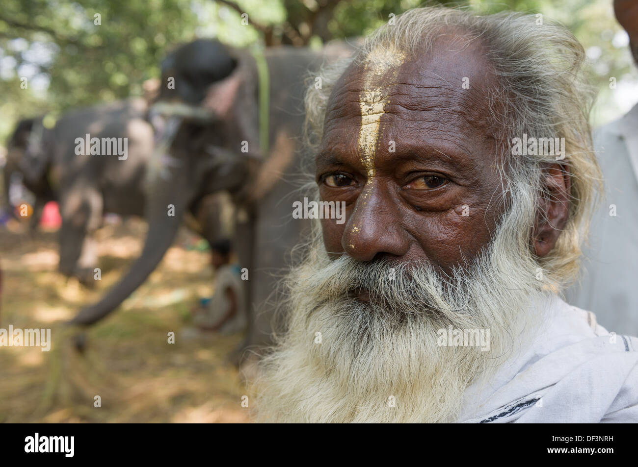 Elderly Male Pilgrim White Beard High Resolution Stock Photography and ...