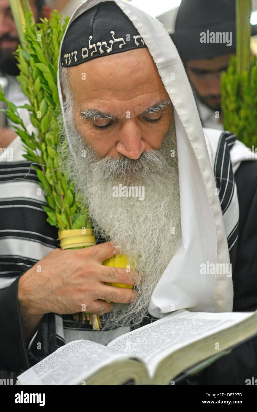 A religious Jewish man with a beard holding an esrog and lulav at ...