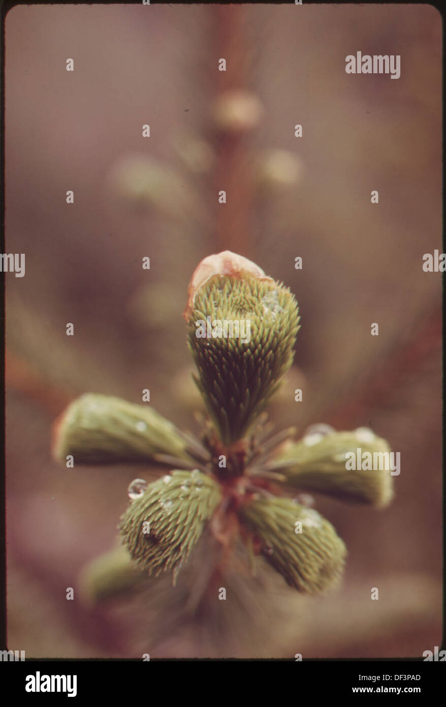 Old slope hi-res stock photography and images - Alamy