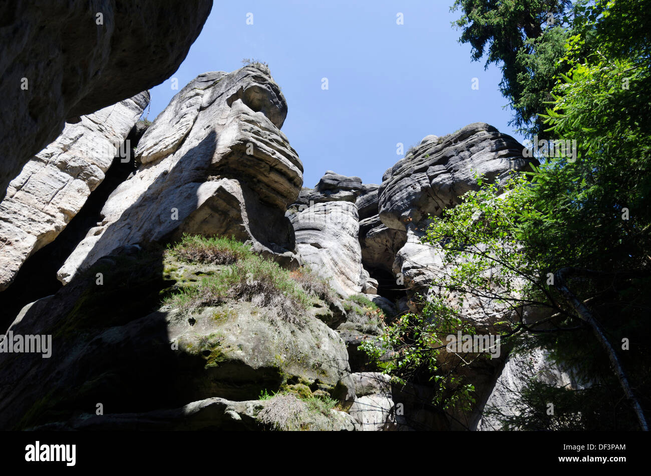 Ostas hi-res stock photography and images - Alamy