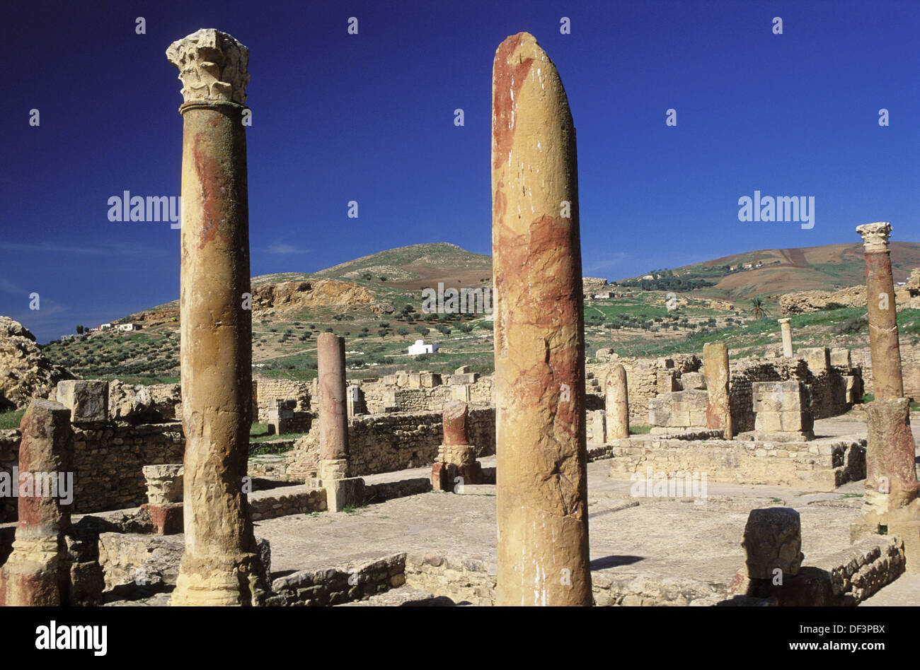 Bulla bulla hi-res stock photography and images - Alamy